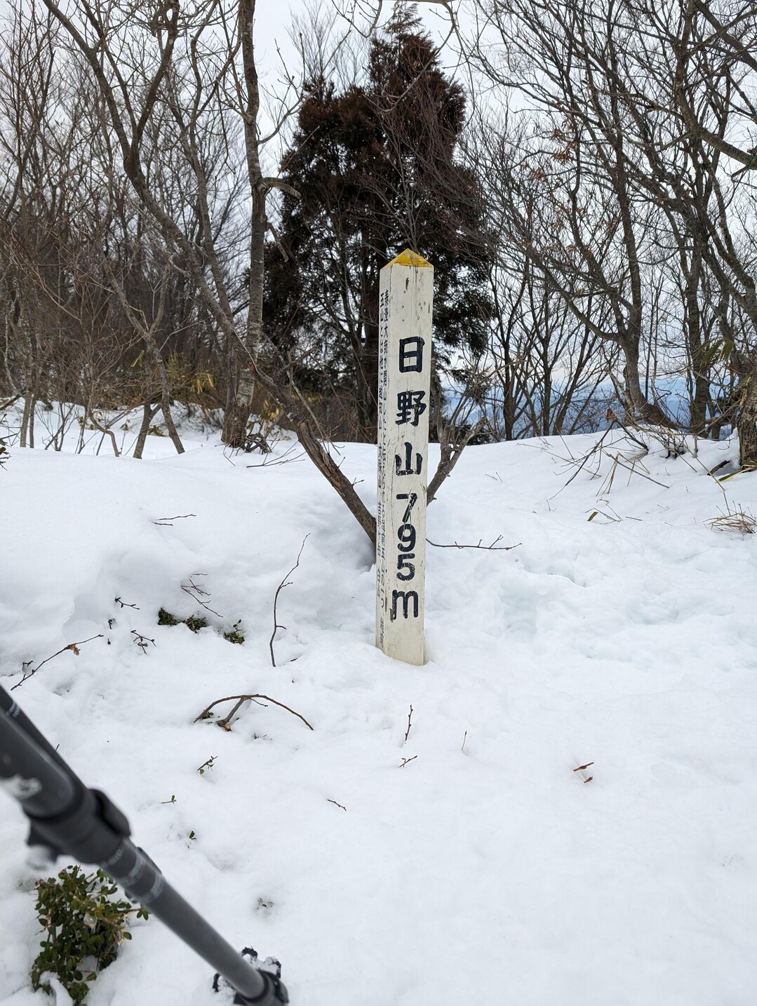 日野山 荒谷コース / ryuji_taketan18さんの日野山の活動データ | YAMAP / ヤマップ