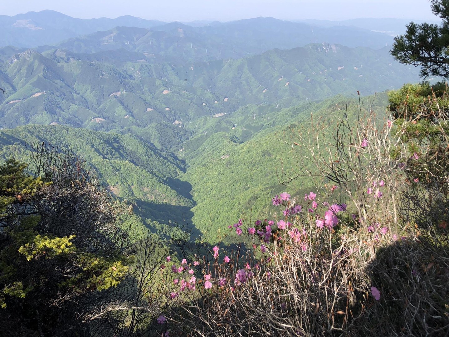 両神山日向大谷コース+東岳・西岳 / saboさんの両神山・諏訪山・二子山の活動日記 | YAMAP / ヤマップ