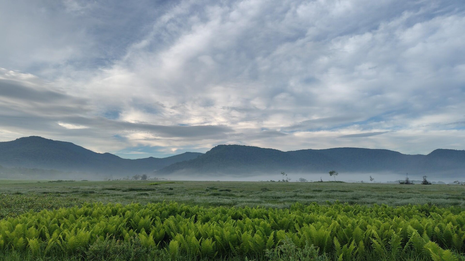 至仏山：朝もやと灼熱の尾瀬 / clutch_tさんの尾瀬・燧ヶ岳の活動データ | YAMAP / ヤマップ