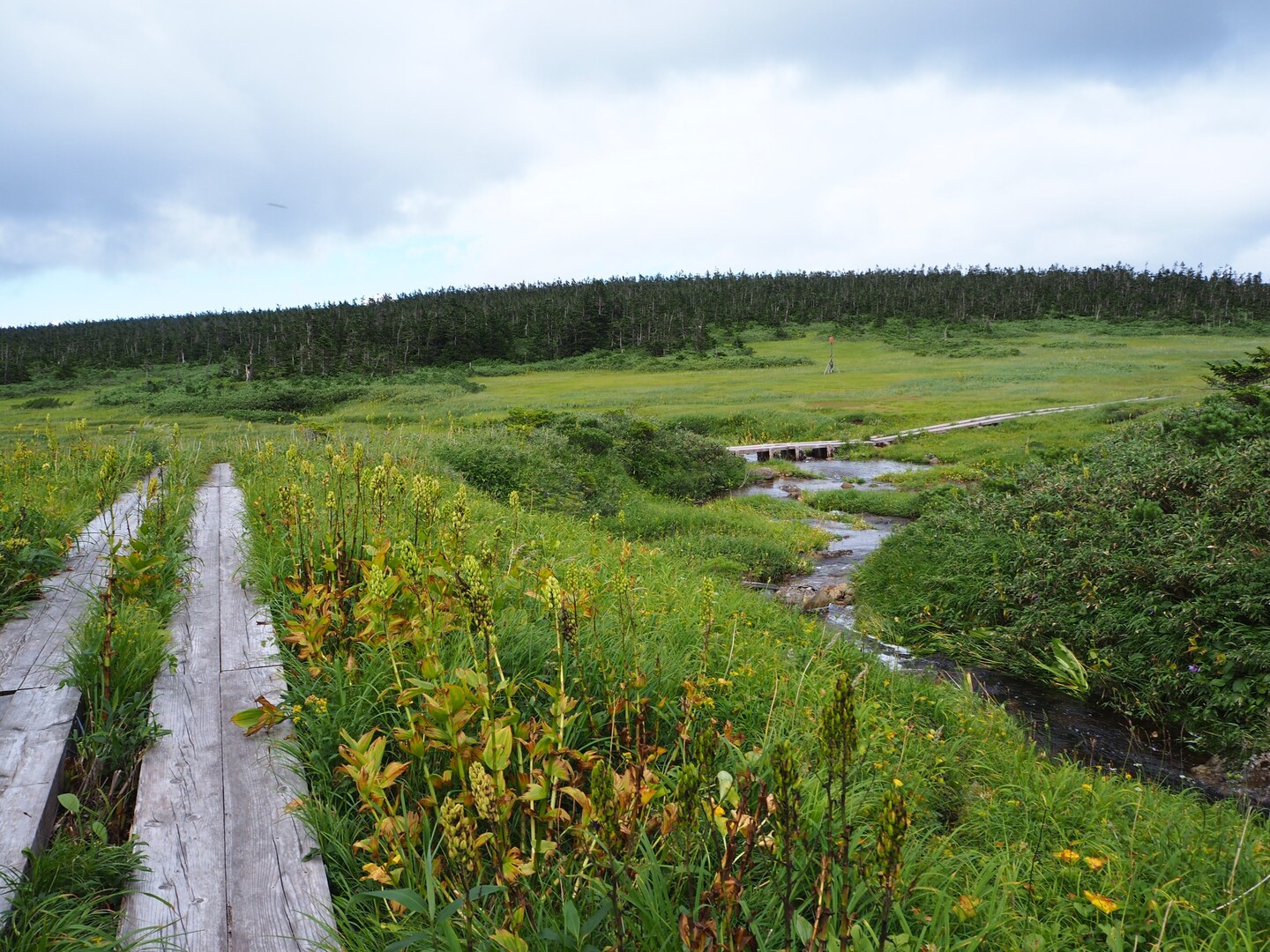 八幡平 / N7さんの八幡平・源太森・安比岳の活動データ | YAMAP / ヤマップ