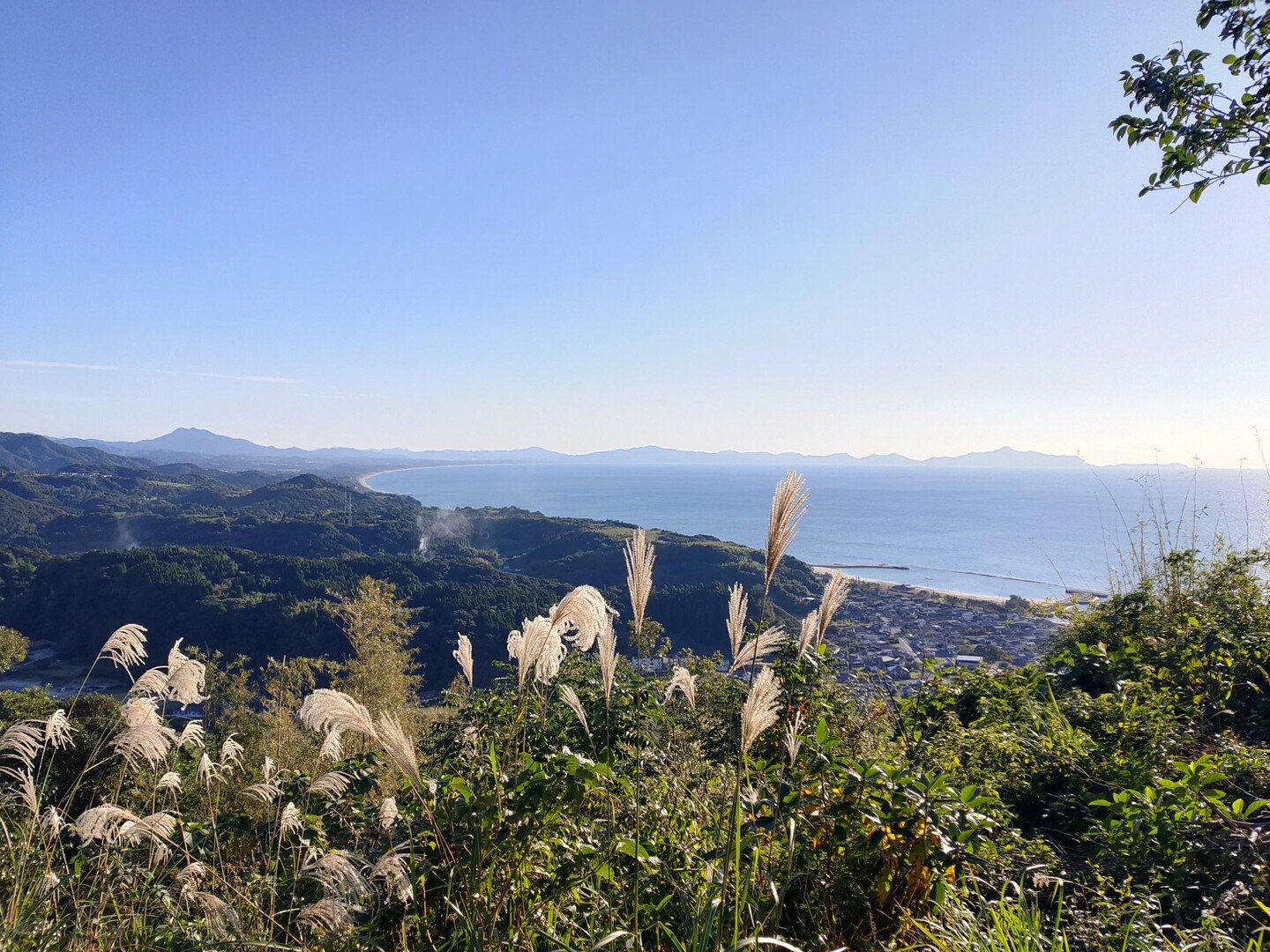 遠見番山 / chika さんの日置市の活動データ | YAMAP / ヤマップ