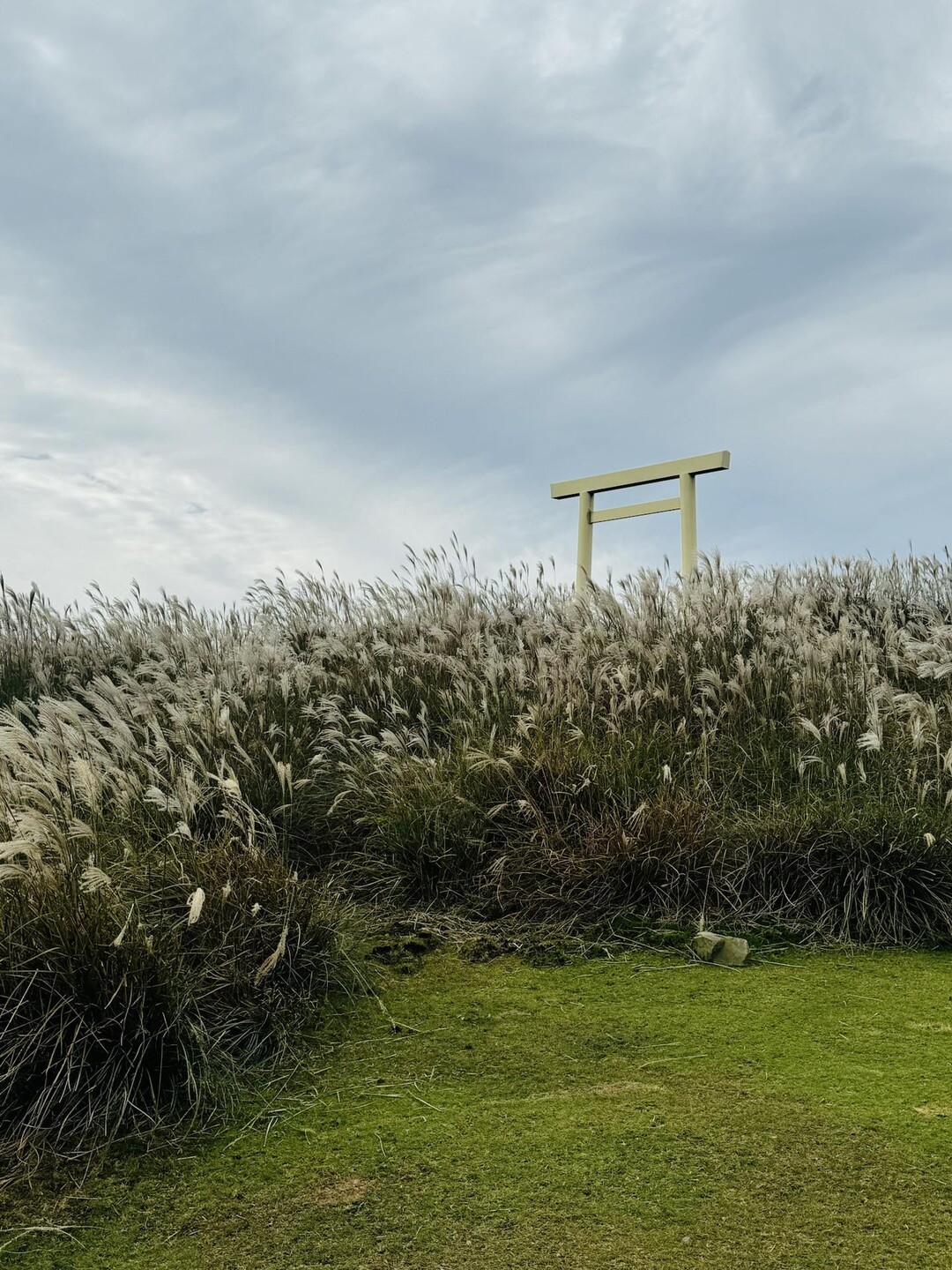 入道ヶ岳.椿大神社奧宮 / mizu*kaさんの入道ヶ岳・鎌ヶ岳・仙ヶ岳の活動データ | YAMAP / ヤマップ