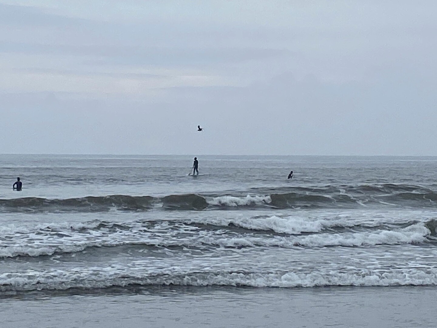 大洗ノルディックウオーキング / Bull&Umiさんのウォーキングの活動データ | YAMAP / ヤマップ