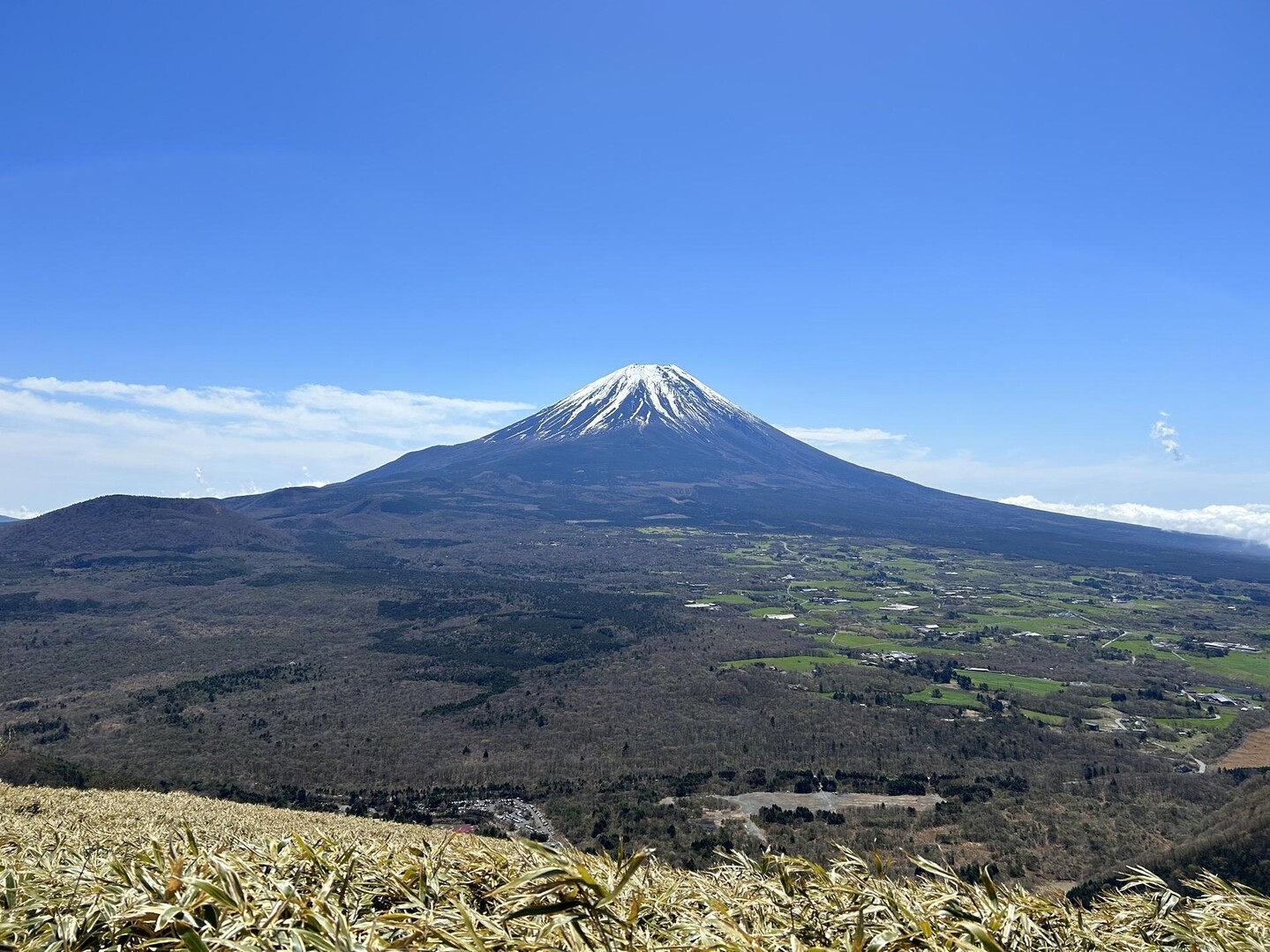 絶景の富士山ハイク・竜ヶ岳 / Tom_OKさんの毛無山・雨ヶ岳・竜ヶ岳の活動データ | YAMAP / ヤマップ