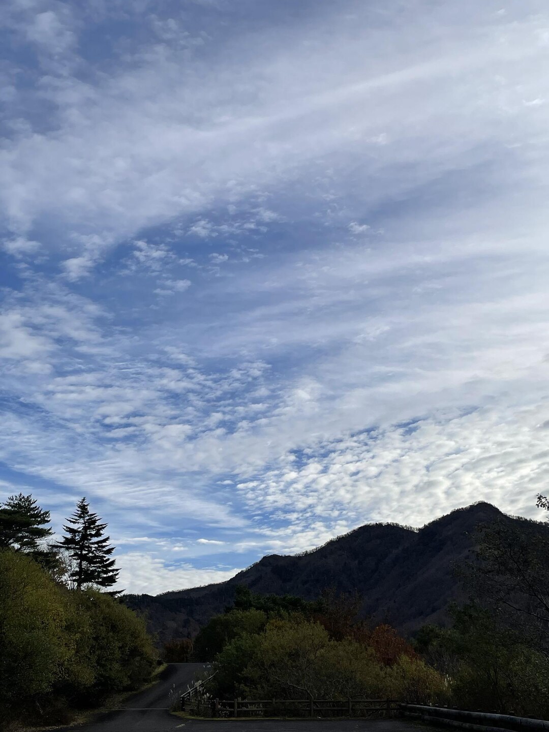 (東祖谷)落合峠 〜 矢筈山へ‥ / Rei.hさんの矢筈山・黒笠山の活動データ | YAMAP / ヤマップ