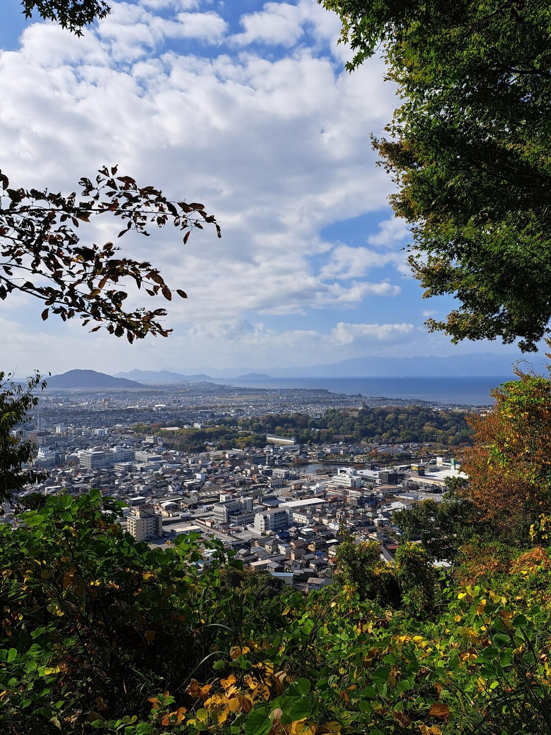 磯山🚙佐和山・弁天山(初めての恐怖体験)🚙雨壺山🚙荒神山・日夏山🍁 / Leo.sさんの佐和山・弁天山の活動データ | YAMAP / ヤマップ