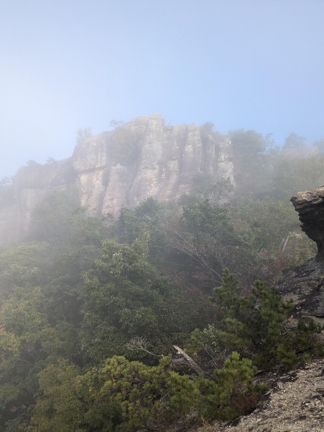 （一年峰） / ku-roさんの文殊山・一念峰（一年峰）の活動データ | YAMAP / ヤマップ