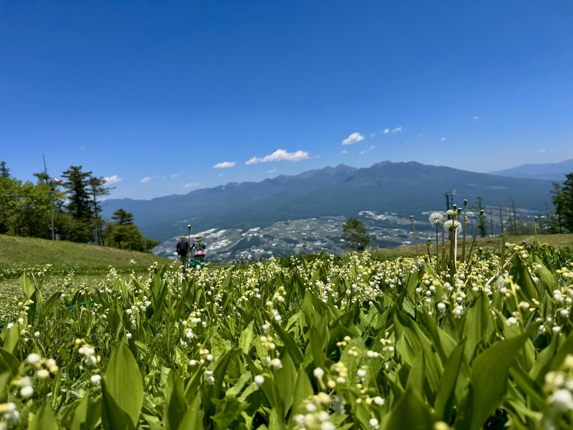 入笠山・アカノラ山 with 💫 / akioさんの入笠山の活動データ | YAMAP / ヤマップ