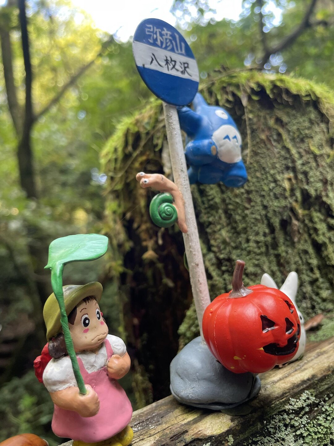 八枚沢×8 / tkhsh.ktさんの弥彦山・多宝山・雨乞山の活動日記 | YAMAP / ヤマップ