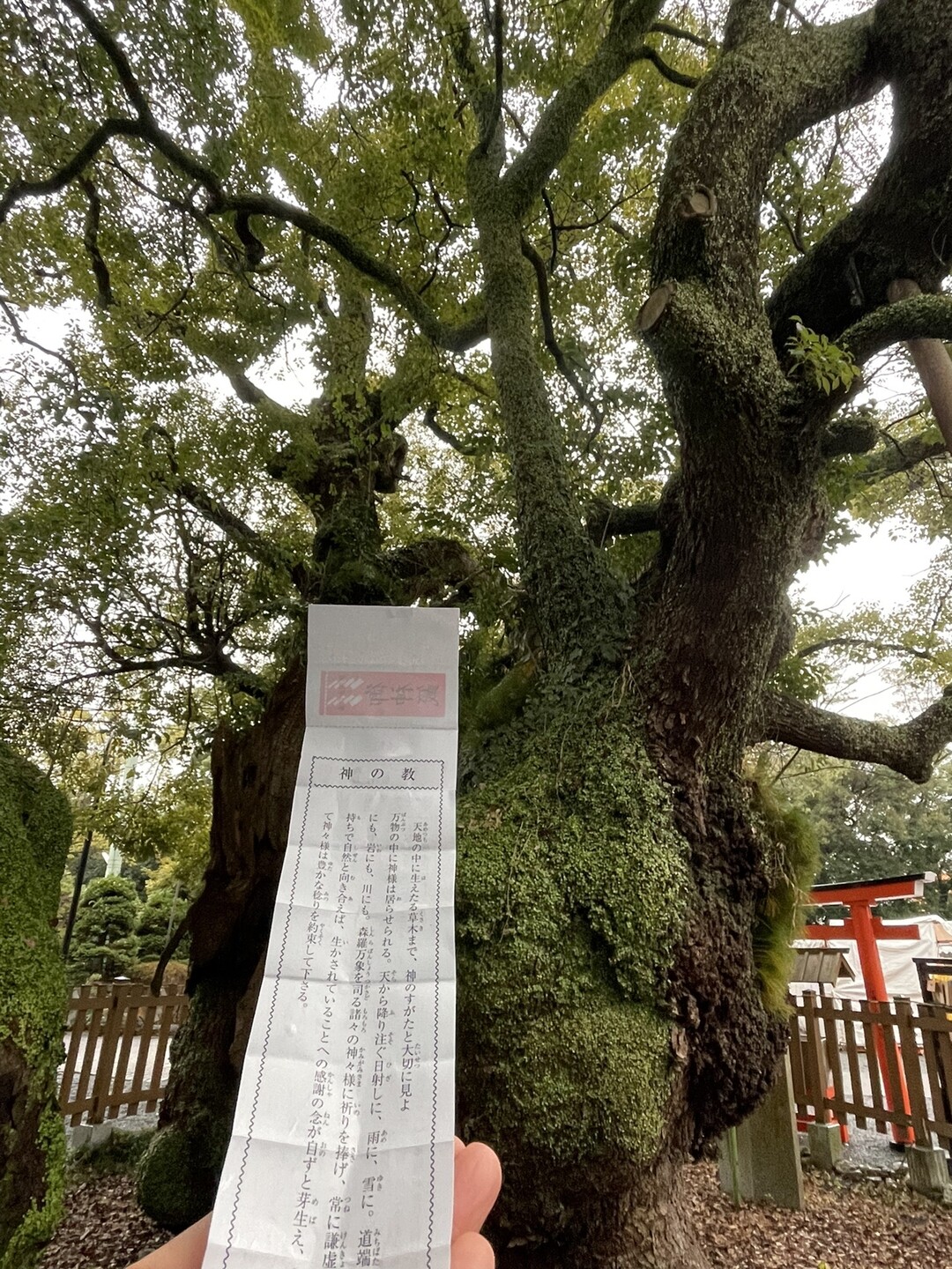 出先からの帰り都合がよかったのでやっと初... / MARCOさんのモーメント | YAMAP / ヤマップ