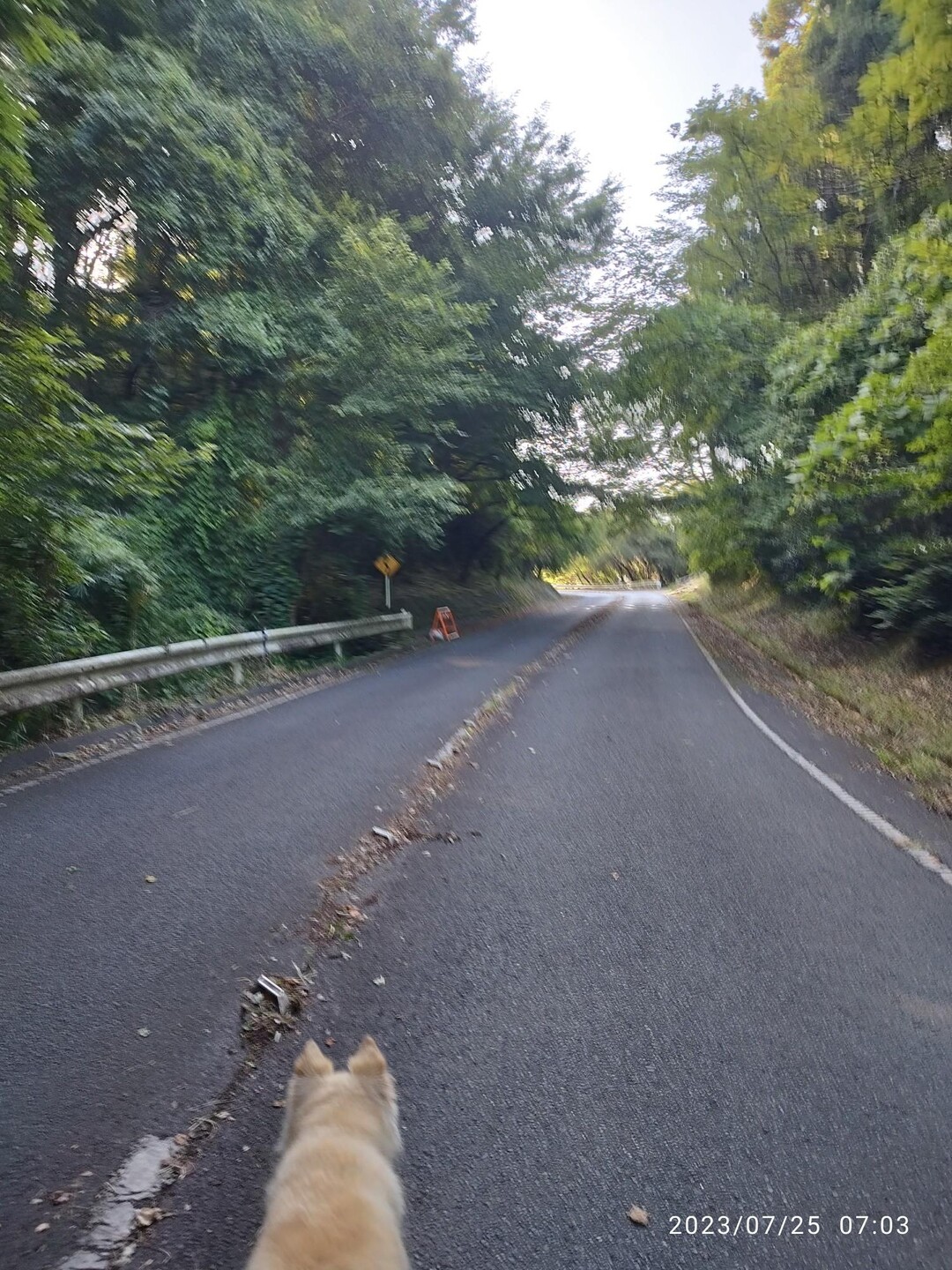 ウォーキング-2023-07-25 / 🍱TANAKA🍱さんのウォーキングの活動データ | YAMAP / ヤマップ