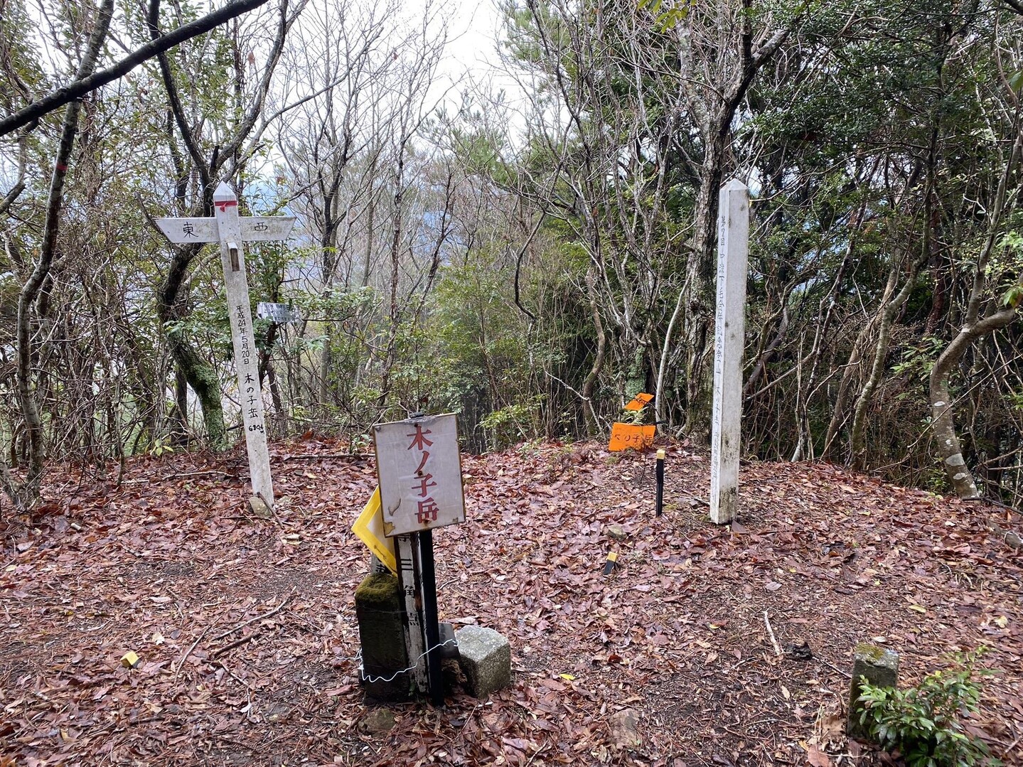 木ノ子岳 / MTCさんのハイキングの活動データ | YAMAP / ヤマップ