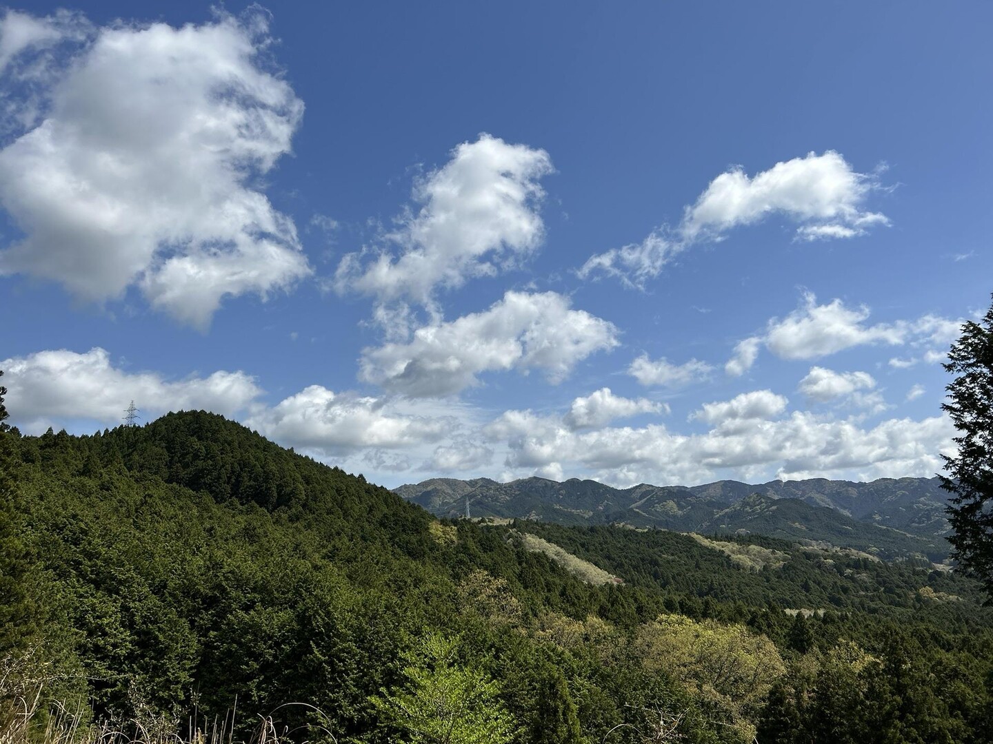 西教山 / annaさんの霊山・西教山の活動データ | YAMAP / ヤマップ