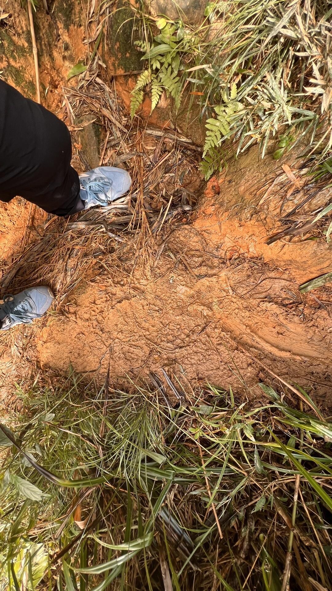 keishimadaさんの投稿したフィールドメモ | YAMAP / ヤマップ