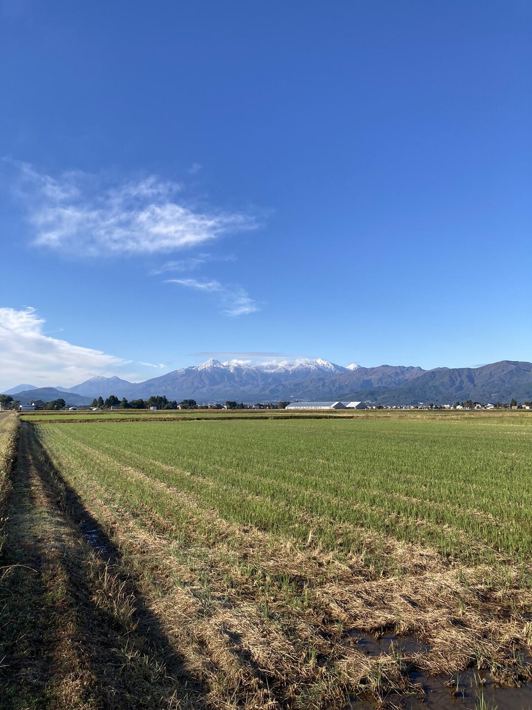 頚城山塊が白い帽子を被りましたよー♪♪ ... / naokiさんのモーメント | YAMAP / ヤマップ