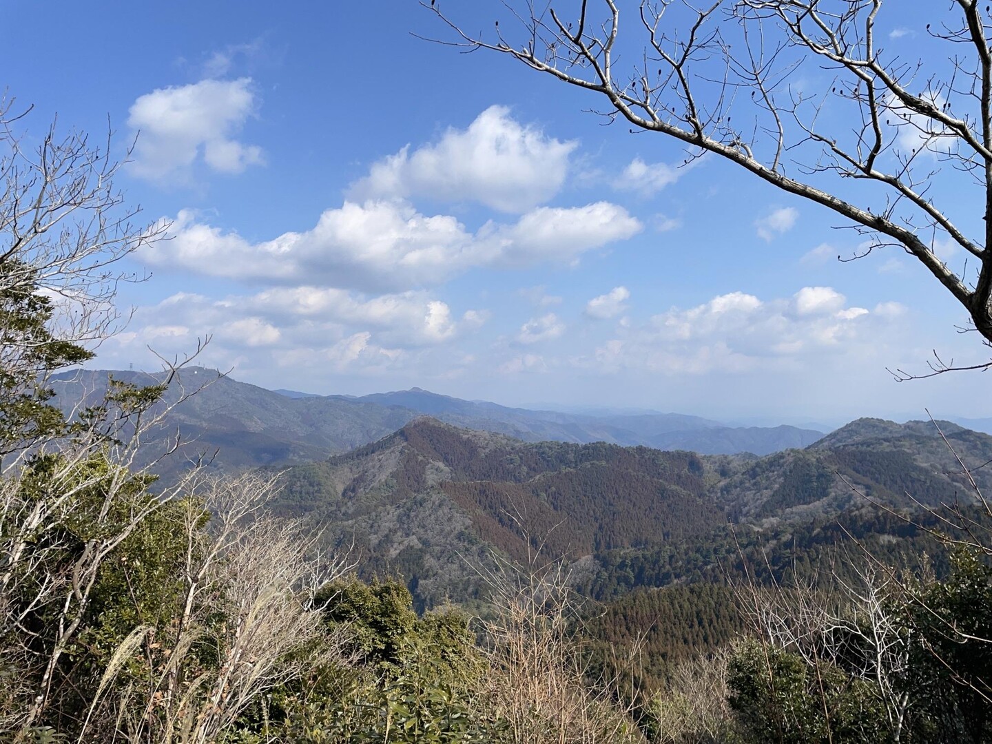 西鳳翩山のお膝元・桂ヶ岳・江嶺山・鼓ヶ岳 / BINcyanさんの山口市の活動データ | YAMAP / ヤマップ