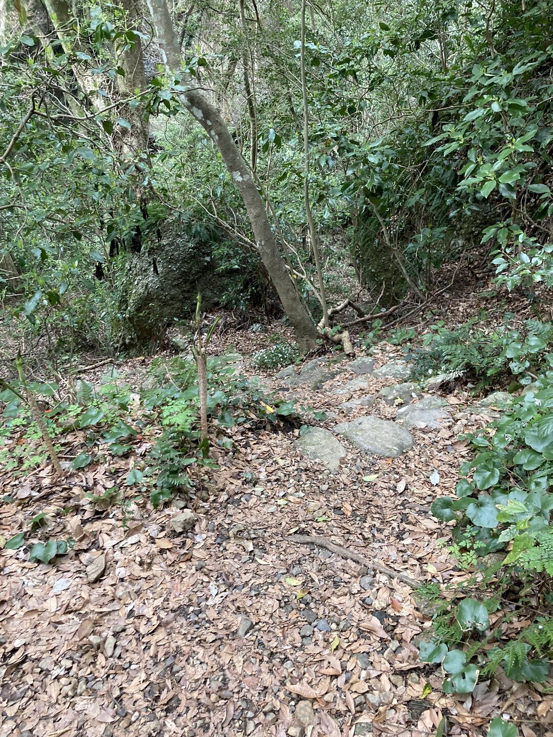 hiyoさんの投稿したフィールドメモ | YAMAP / ヤマップ