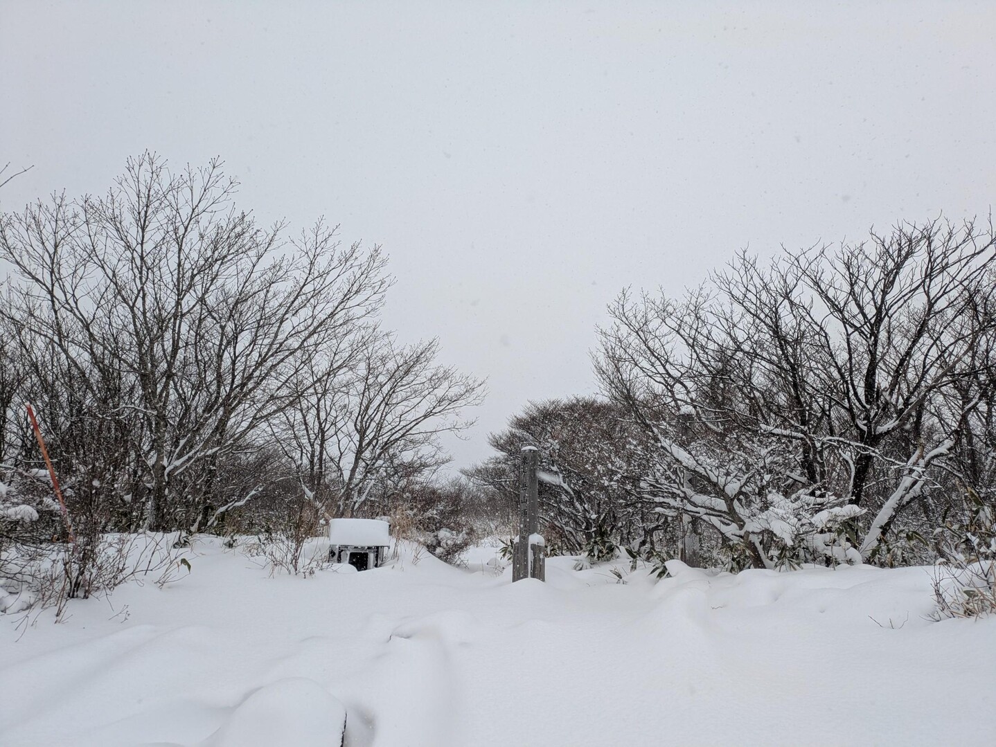 船形連峰 泉ヶ岳ダブル（滑降ルート～かもしかルート）新雪もふもふ / ao_hachiさんの船形山（御所山）・泉ヶ岳・蛇ヶ岳の活動データ | YAMAP / ヤマップ