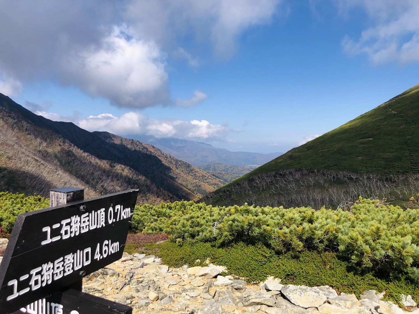 ユニ石狩岳 / FUM!さんの石狩岳・音更山の活動データ | YAMAP / ヤマップ