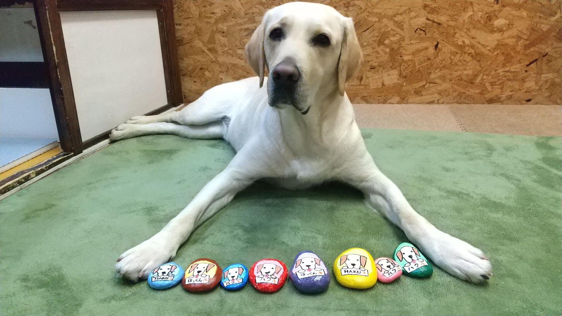 巷で話題のWA ROCK 本当はお正月に... / おちもりさんのモーメント | YAMAP / ヤマップ