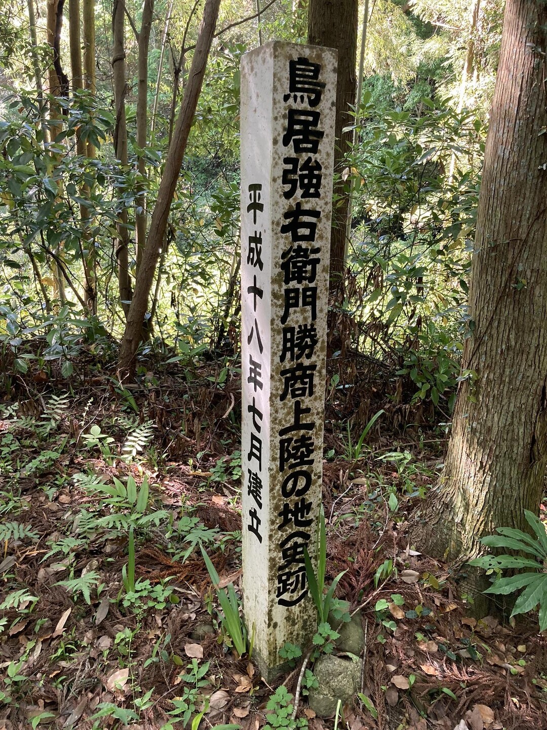 夏川や激戦の地は今静か 豊川（愛知県新城... / siriaさんのモーメント | YAMAP / ヤマップ