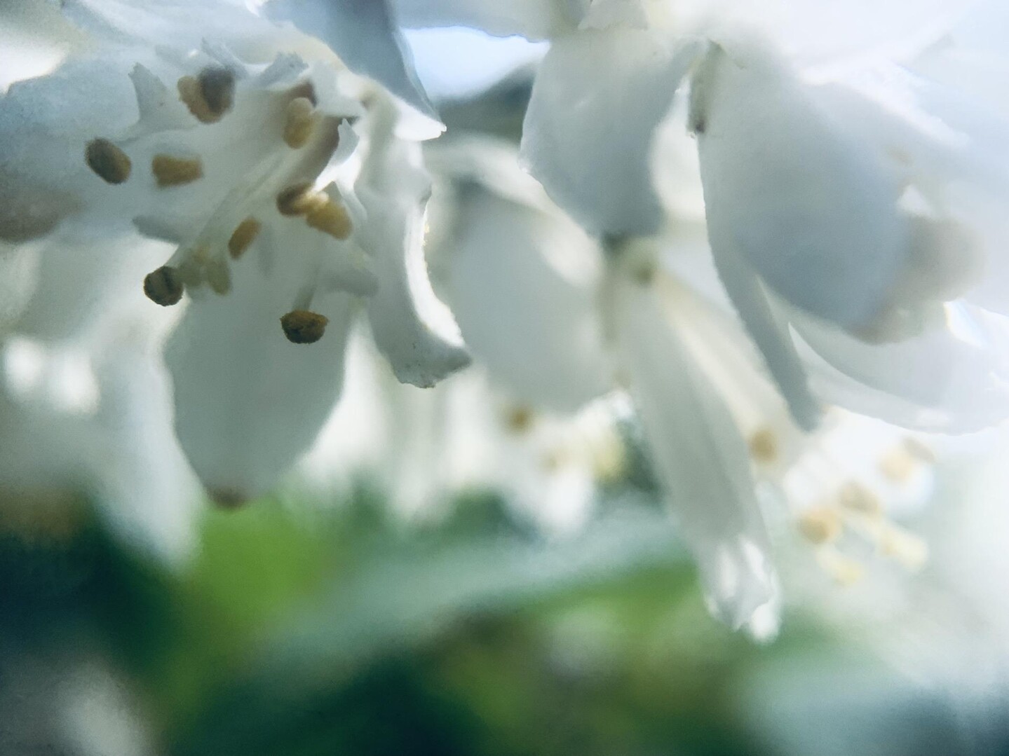 おかわり許斐山 / masaroyさんの許斐山の活動データ | YAMAP / ヤマップ