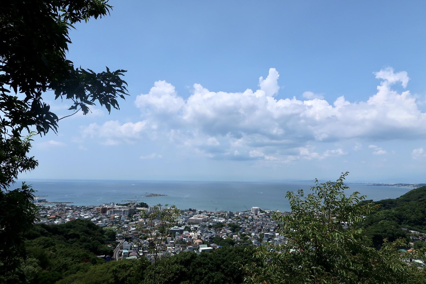 山への恩返し2 🧹 真夏の葉山ハートルート / heeさんの三浦アルプス・二子山・仙元山の活動日記 | YAMAP / ヤマップ