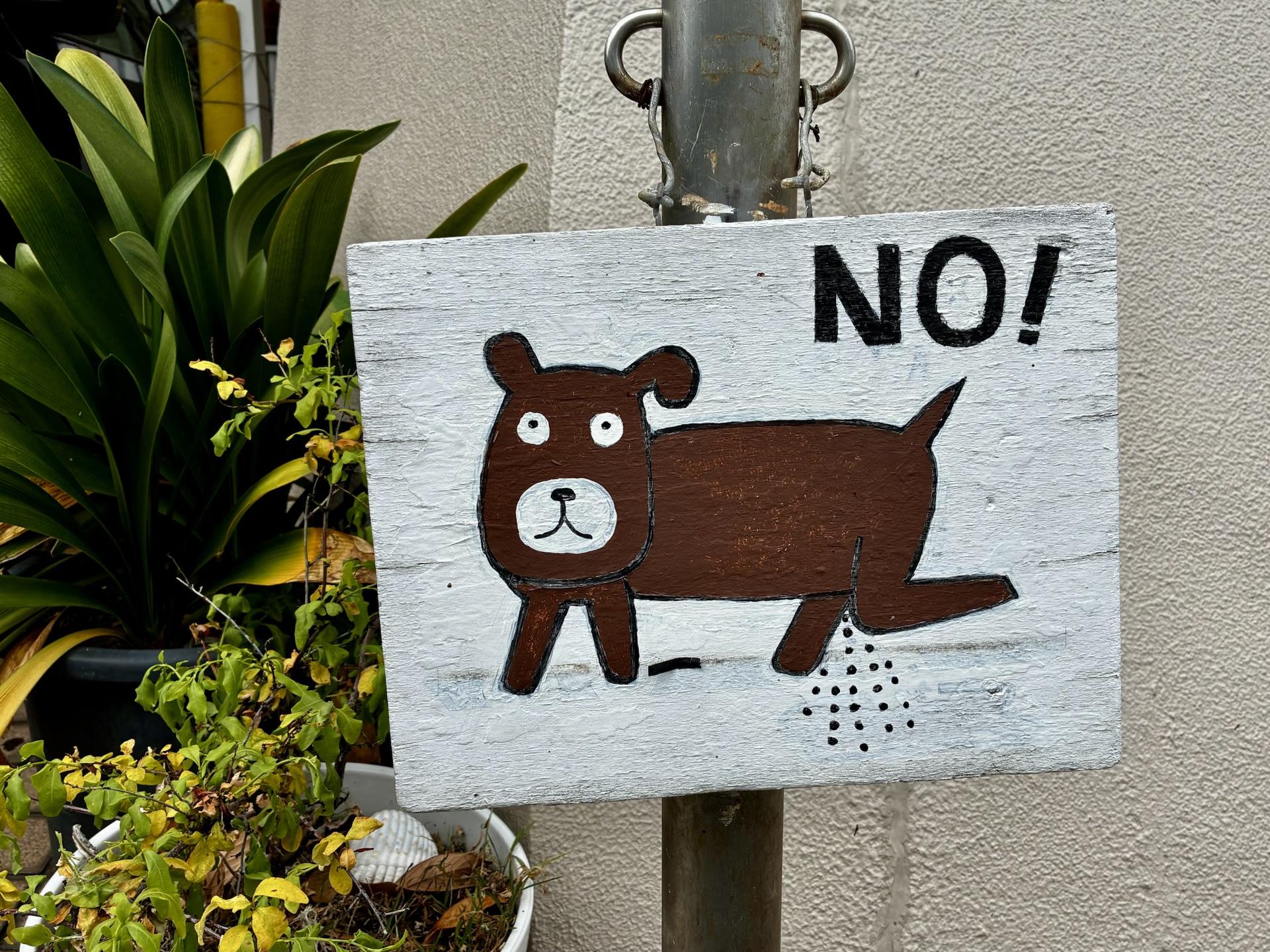 犬散歩🐕でApple Watchを試してみた🍎 / heeさんの三浦アルプス・二子山・仙元山の活動データ | YAMAP / ヤマップ