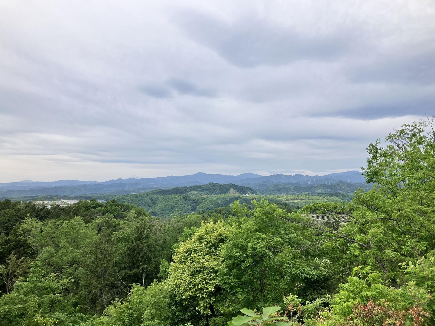 奥武蔵ロングトレイル35K試走🏃💦 / KIYAtさんの天覧山・多峯主山・天覚山の活動データ | YAMAP / ヤマップ