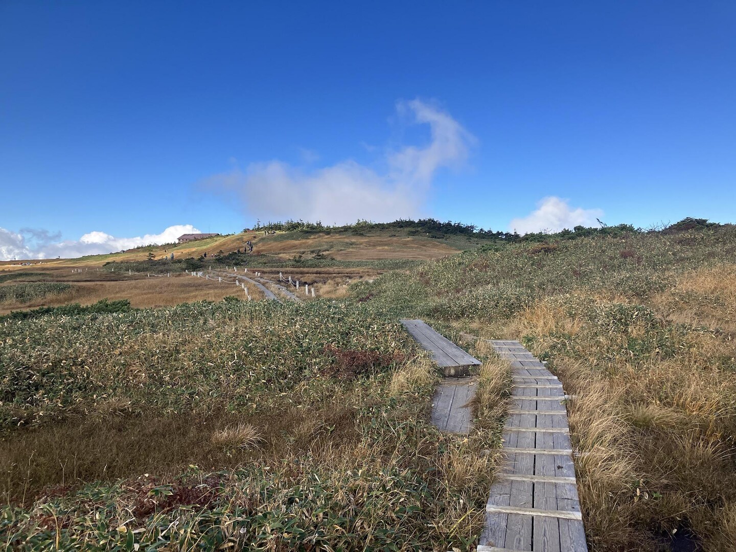 神楽ヶ峰・苗場山 / ベジ🍅さんの苗場山・赤倉山・佐武流山の活動データ | YAMAP / ヤマップ