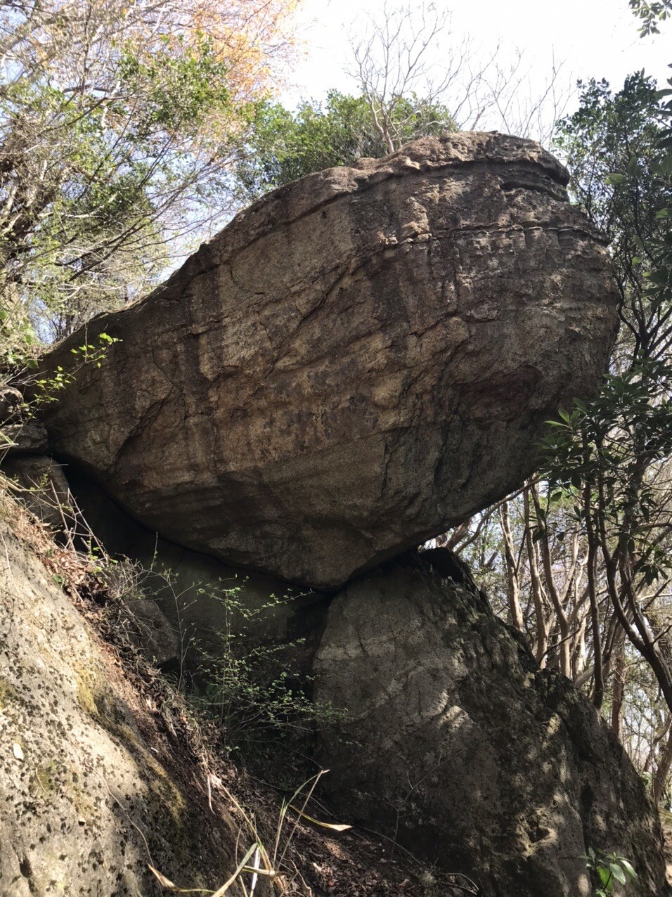 mitogoroさんの投稿したフィールドメモ | YAMAP / ヤマップ