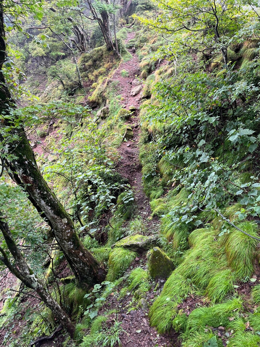 SABOさんの投稿したフィールドメモ | YAMAP / ヤマップ