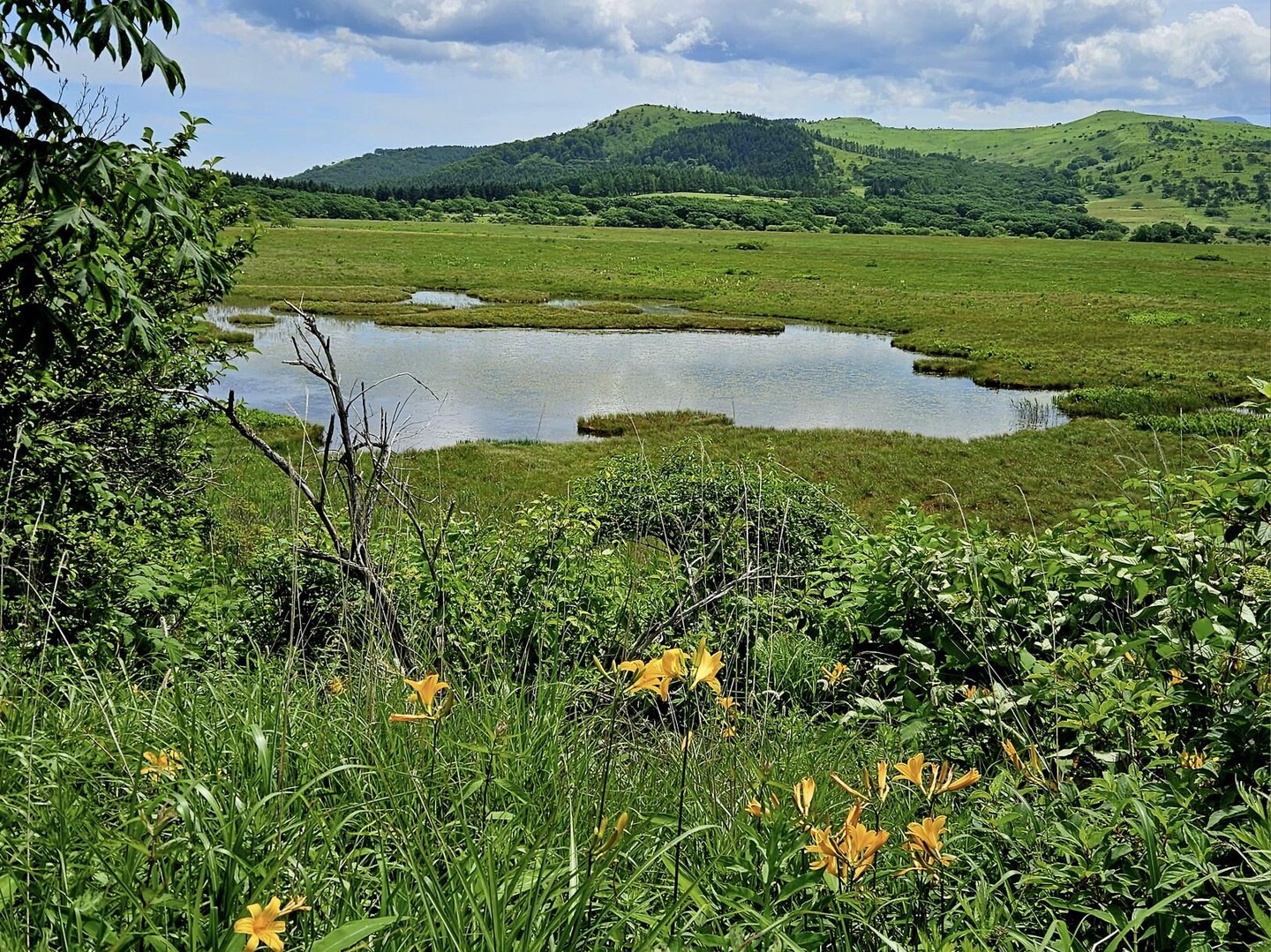 霧ヶ峰・八島湿原 あの火事から2ヶ月 *:･ﾟ / yky-goさんの霧ヶ峰・車山・大笹峰の活動データ | YAMAP / ヤマップ