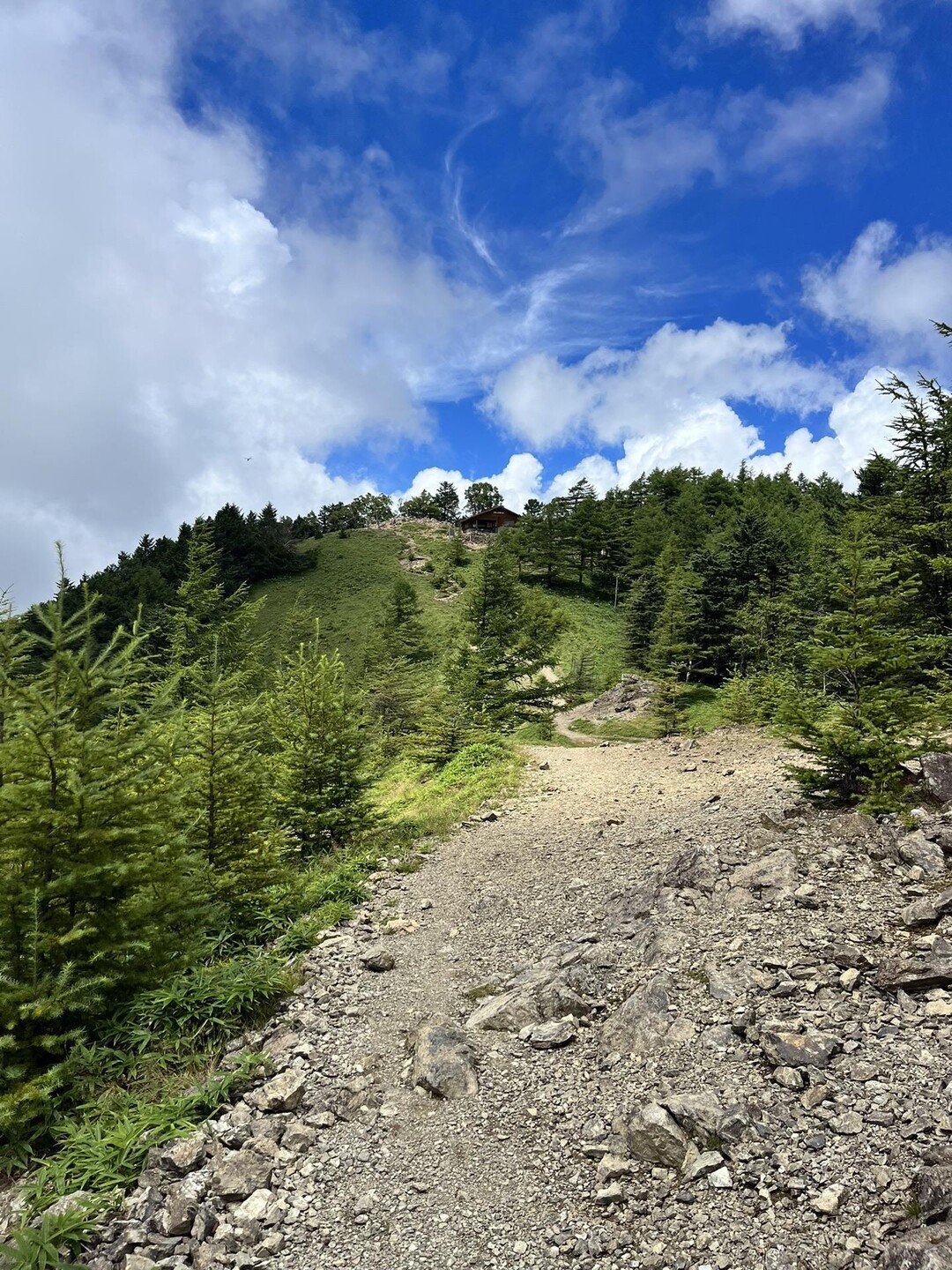 雲取山 / yotaさんの雲取山・鷹ノ巣山・七ツ石山の活動データ | YAMAP / ヤマップ