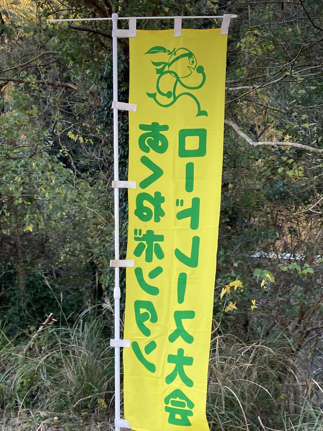 あくねボンタン試走-2023-11-25 / kiyo 096さんのウォーキングの活動データ | YAMAP / ヤマップ