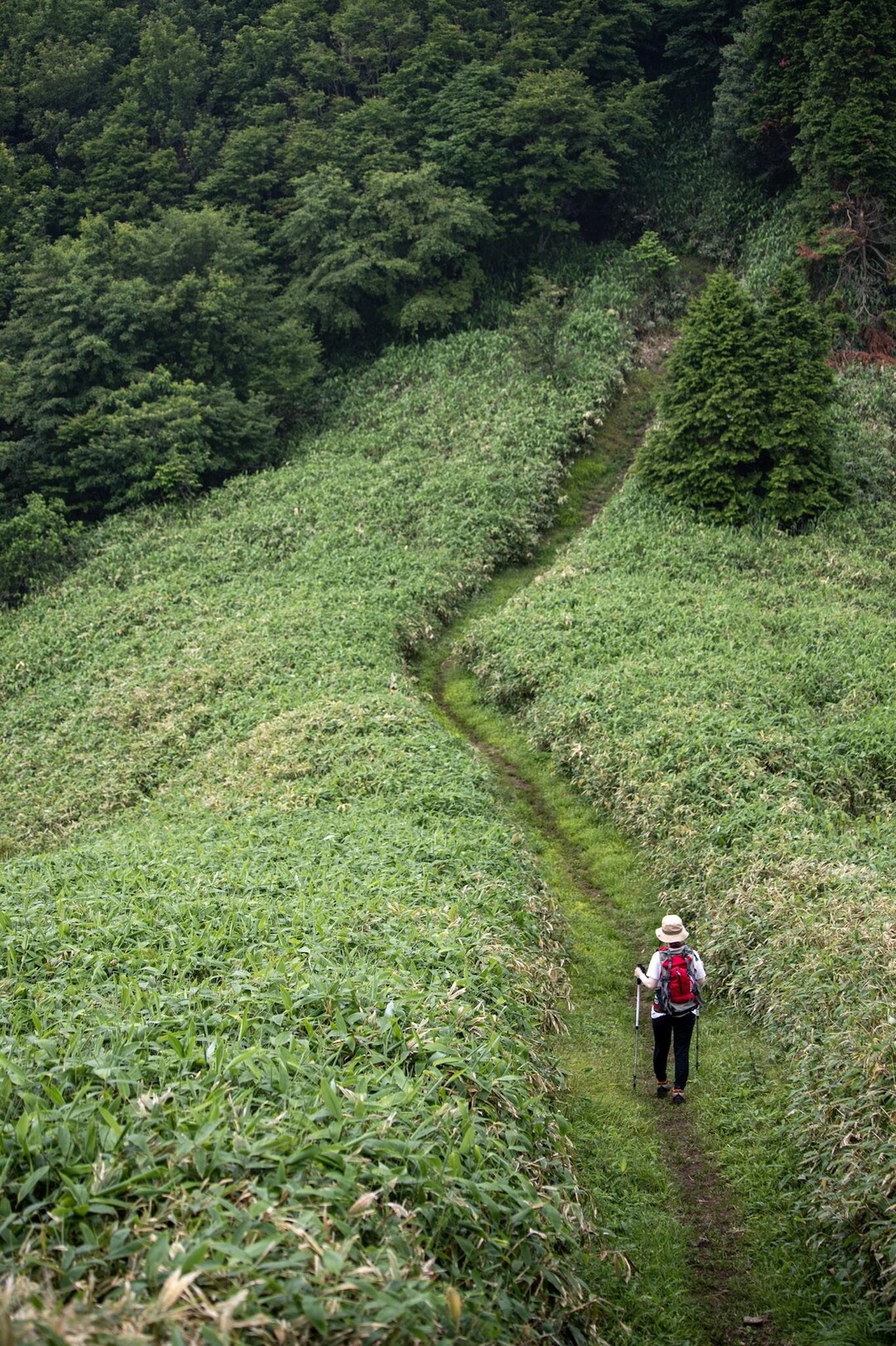 泉山～笠菅峠 往復コース / IKEMICHIさんの泉山・井水山・黒沢山の活動データ | YAMAP / ヤマップ