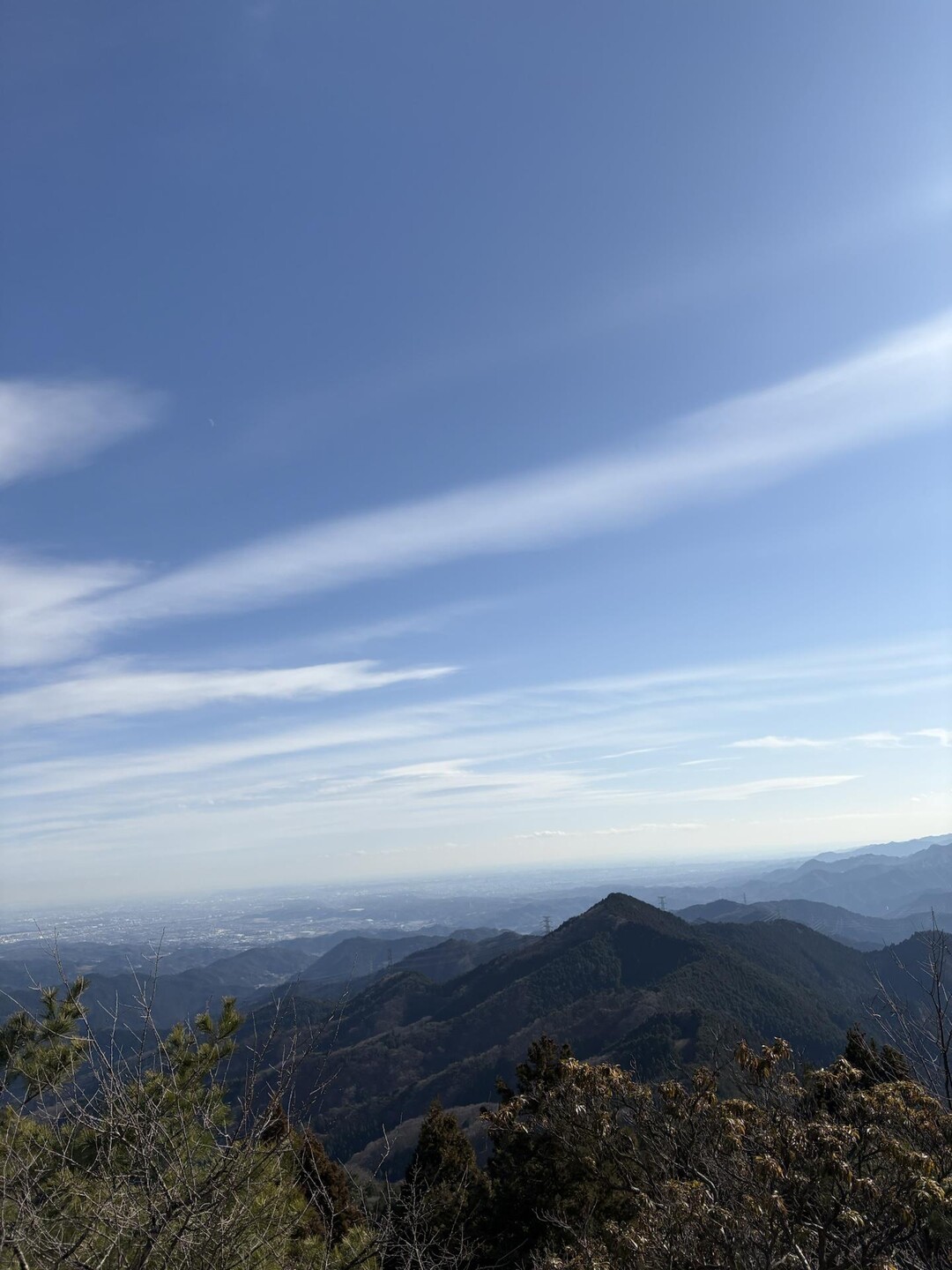 JR古里駅〜御岳山・日の出山 縦走〜JR御岳駅 / はるたろさんさんの大岳山・御岳山・御前山の活動日記 | YAMAP / ヤマップ