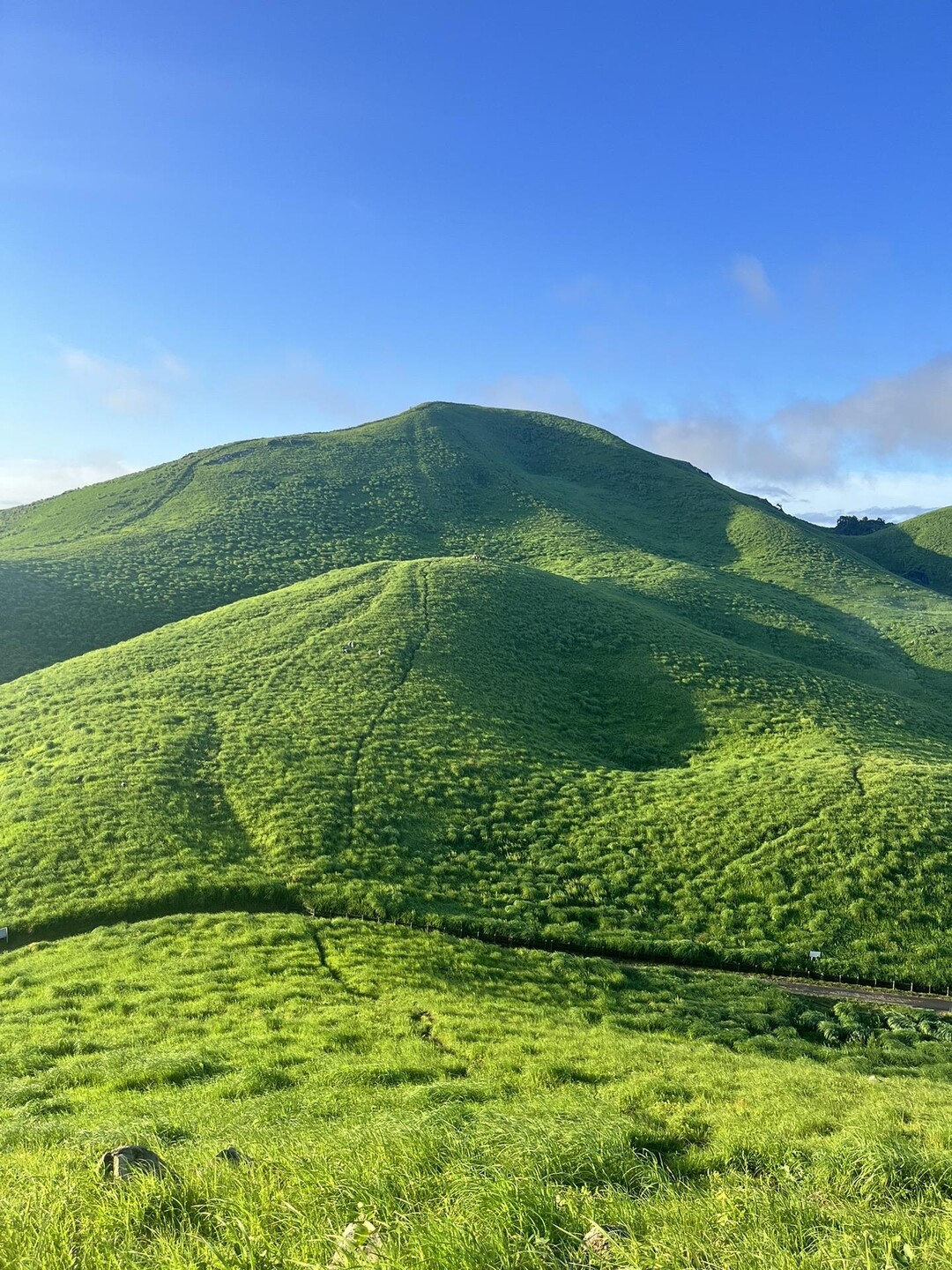 四方台・貫山 / h88♡さんの平尾台・貫山・水晶山の活動データ | YAMAP / ヤマップ