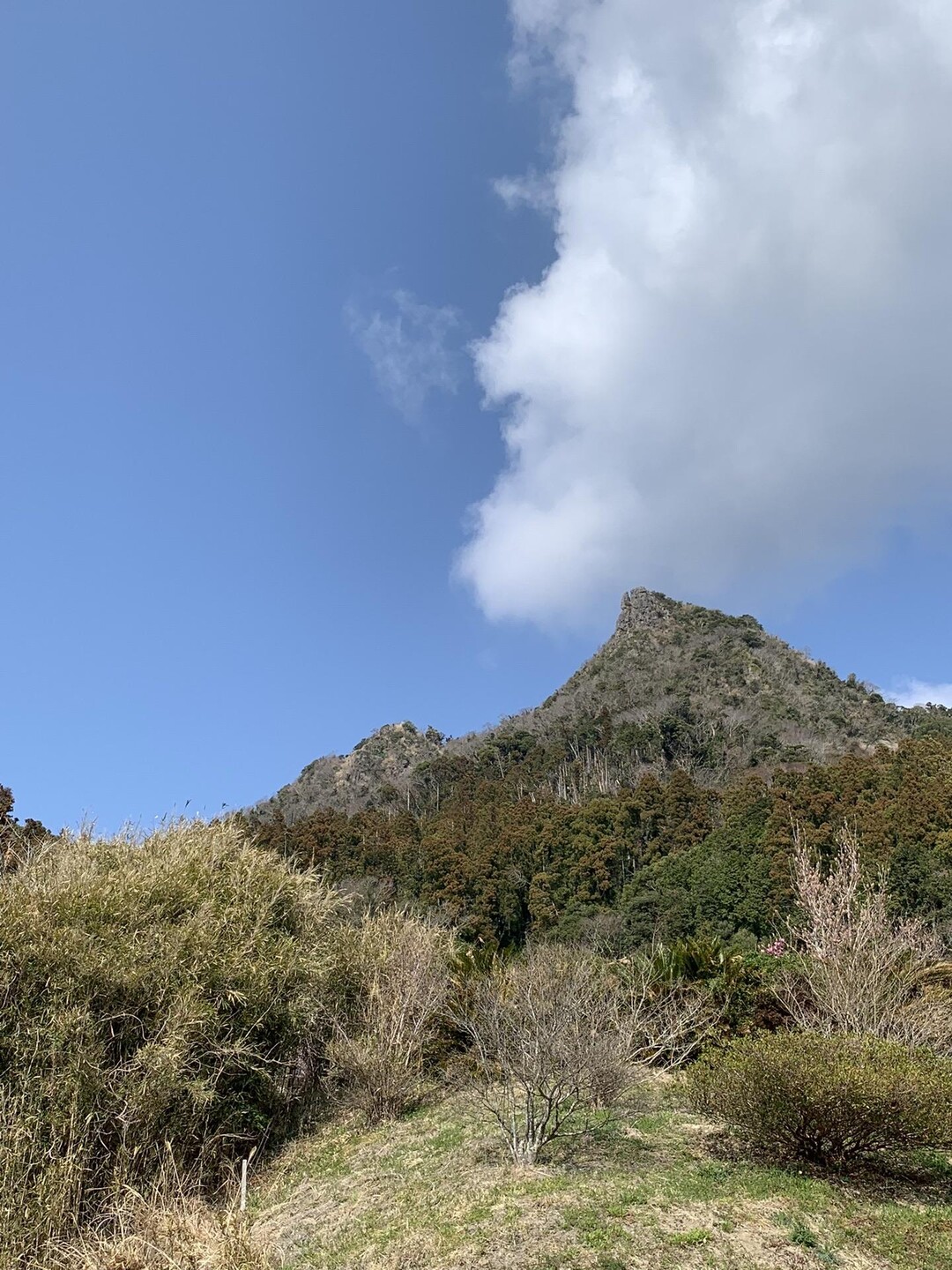 房総のマッターホルン 伊予ヶ岳(南峰)・伊予ヶ岳(北峰) / riecoさんの伊予ヶ岳・人骨山・津森山の活動データ | YAMAP / ヤマップ