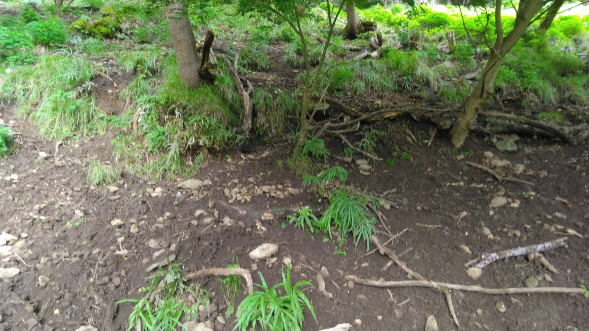 MASAさんの投稿したフィールドメモ | YAMAP / ヤマップ