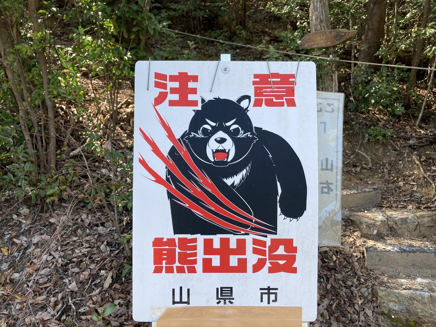 山県市のクマは強そうです😅 / kohtaさんのモーメント | YAMAP / ヤマップ