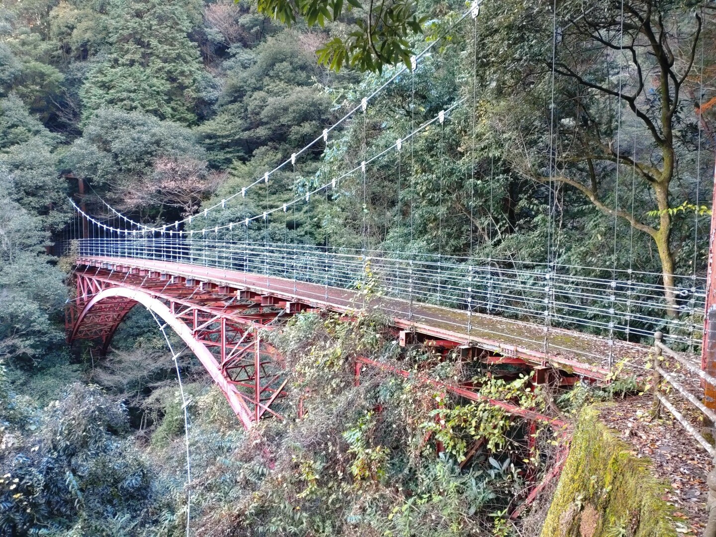 遠登志〜西赤石山 / Tom Ookaさんの東赤石山・西赤石山・物住頭の活動データ | YAMAP / ヤマップ