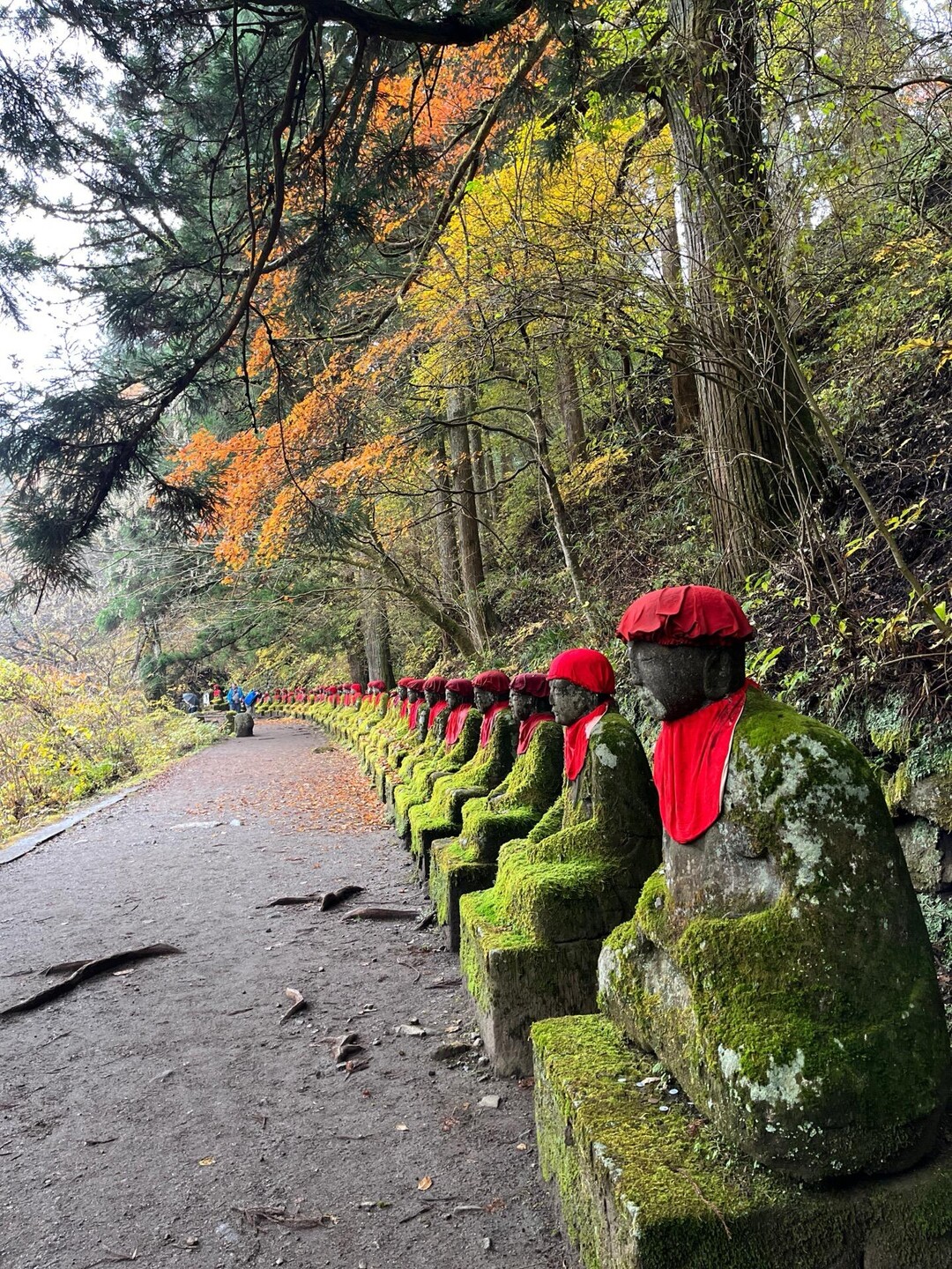 初めまして 日光 鳴虫山 / yutayutaさんの鳴虫山・火戸尻山の活動データ | YAMAP / ヤマップ