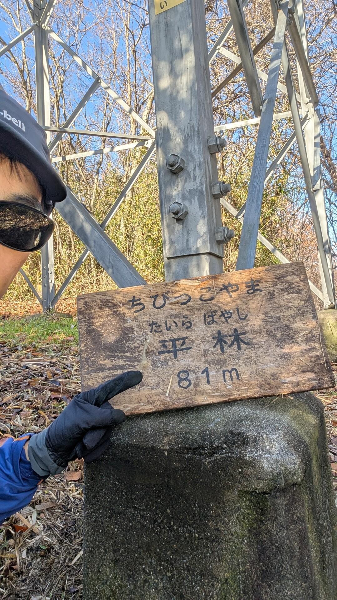 平林 / kiyoさんの達居森の活動データ | YAMAP / ヤマップ