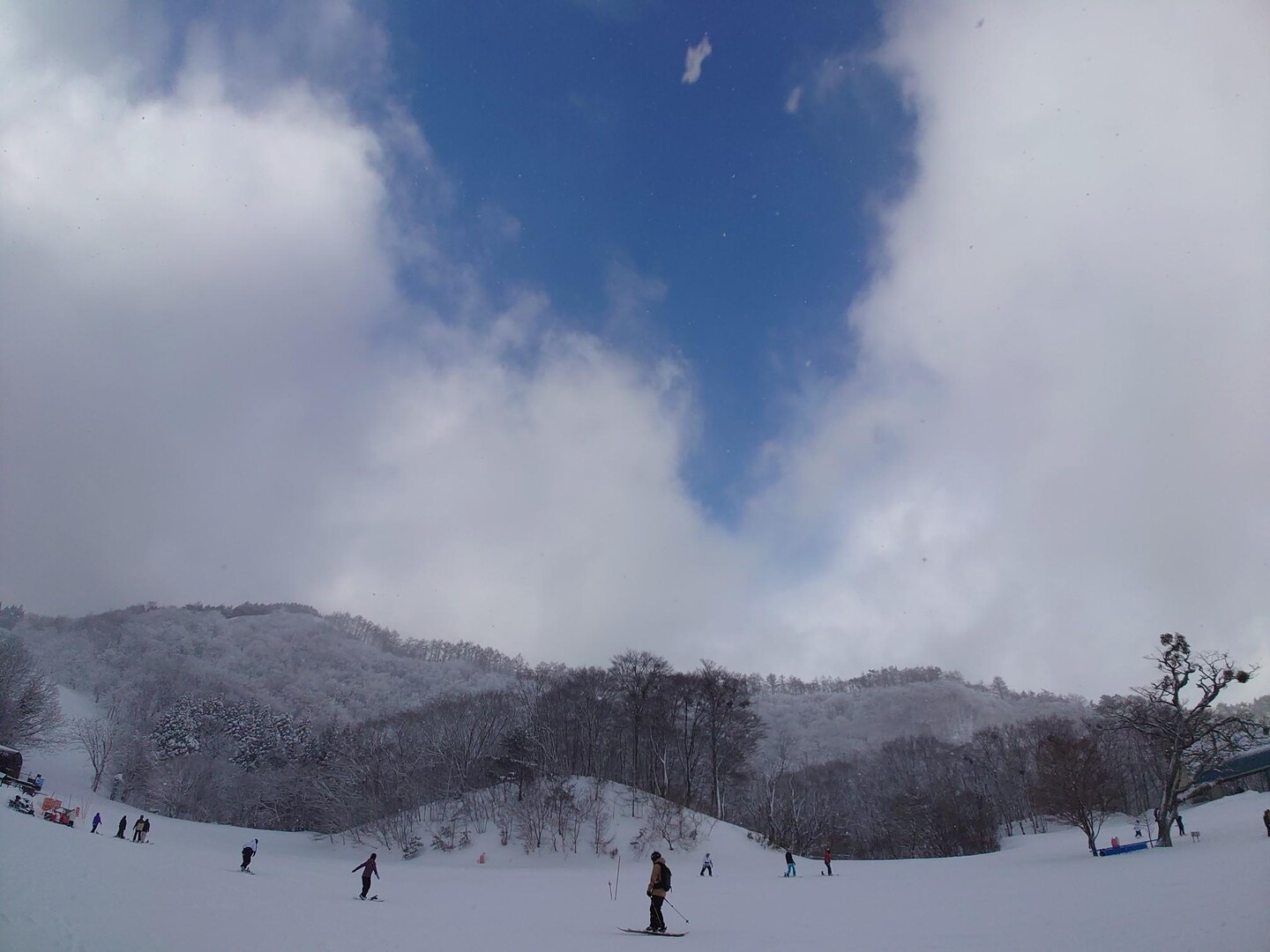 平日のハチ北 今日もビールが美味かった / たこいちさんのモーメント | YAMAP / ヤマップ