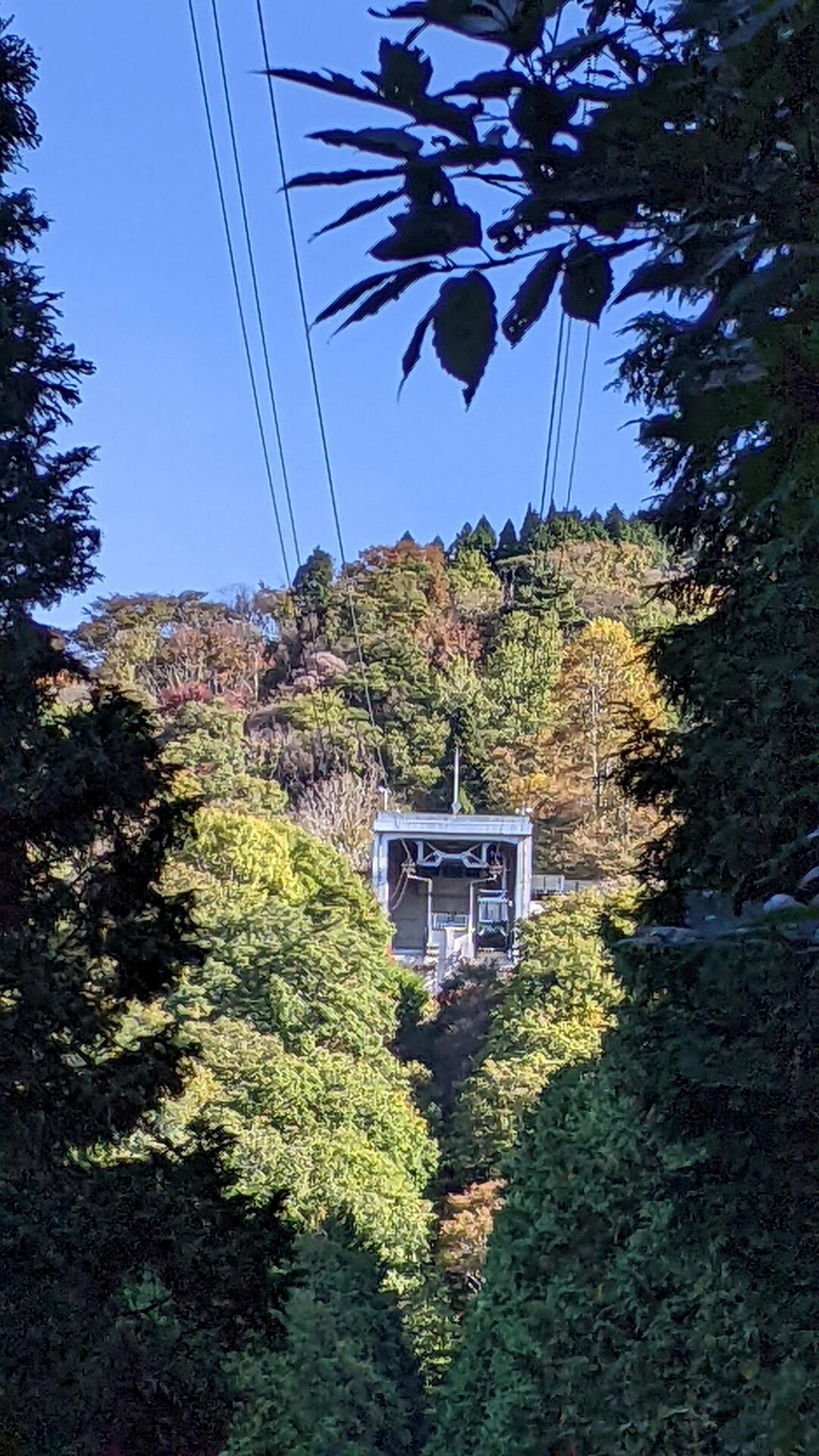 金剛山 香楠荘⤴️文殊中尾根⤵️ / mikkyさんの金剛山・二上山・大和葛城山の活動データ | YAMAP / ヤマップ