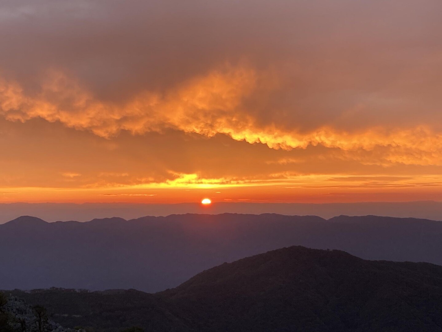 霊仙山 ナイトハイキングイズグッド / you-ki ゆうきさんの霊仙山の活動データ | YAMAP / ヤマップ