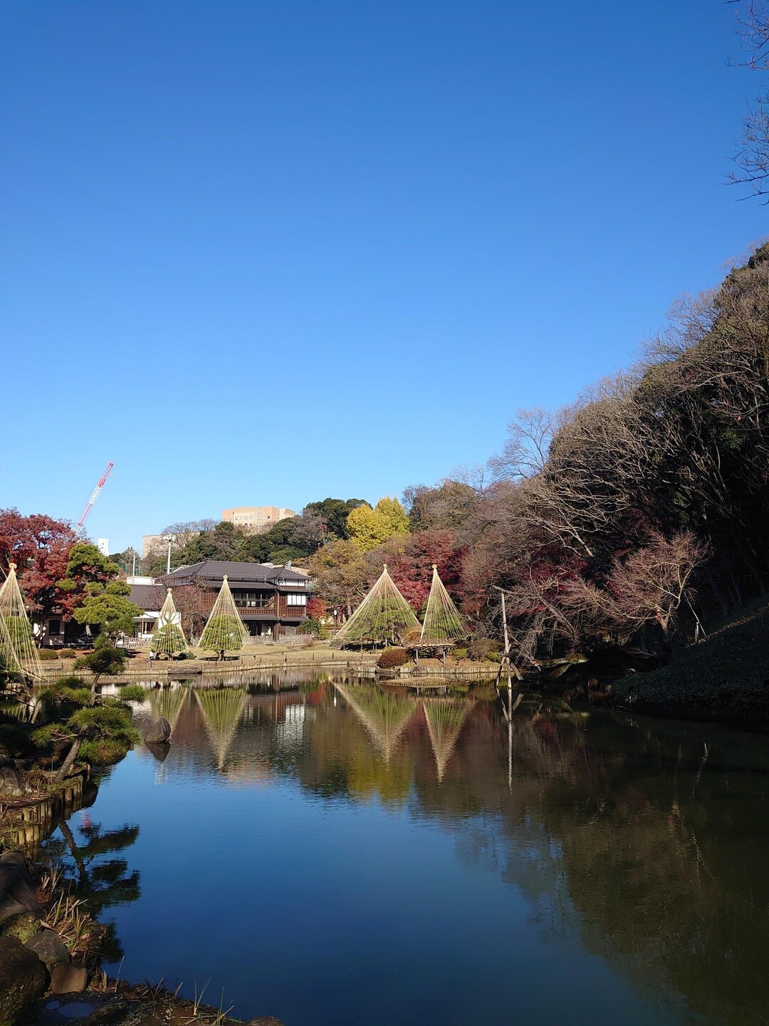 昨日は体調不良で、一日中寝て過ごしてしま... / ハムジロウさんのモーメント | YAMAP / ヤマップ