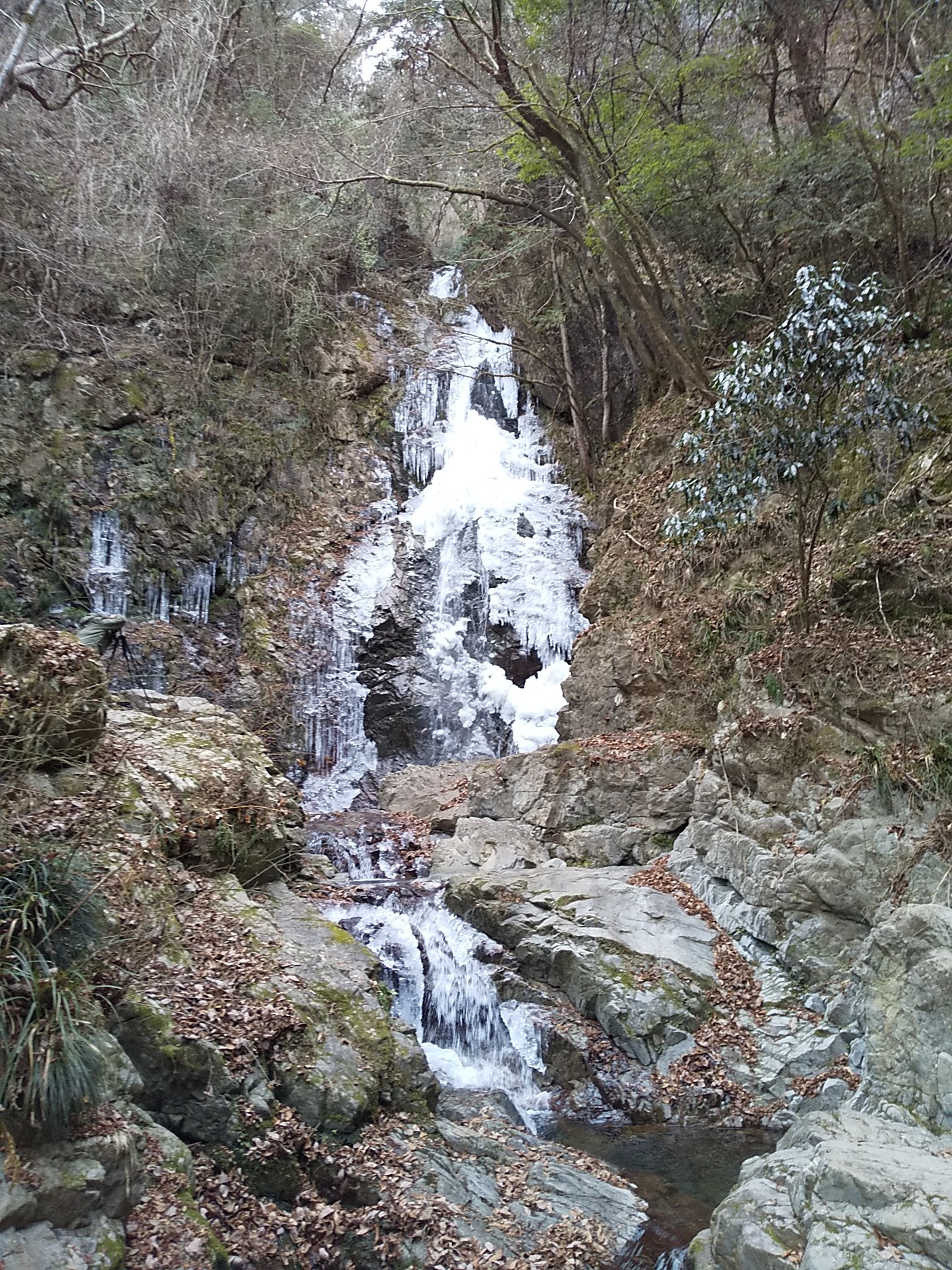 寒さを増す毎に気になる場所 払沢の滝！ ... / chauさんのモーメント | YAMAP / ヤマップ
