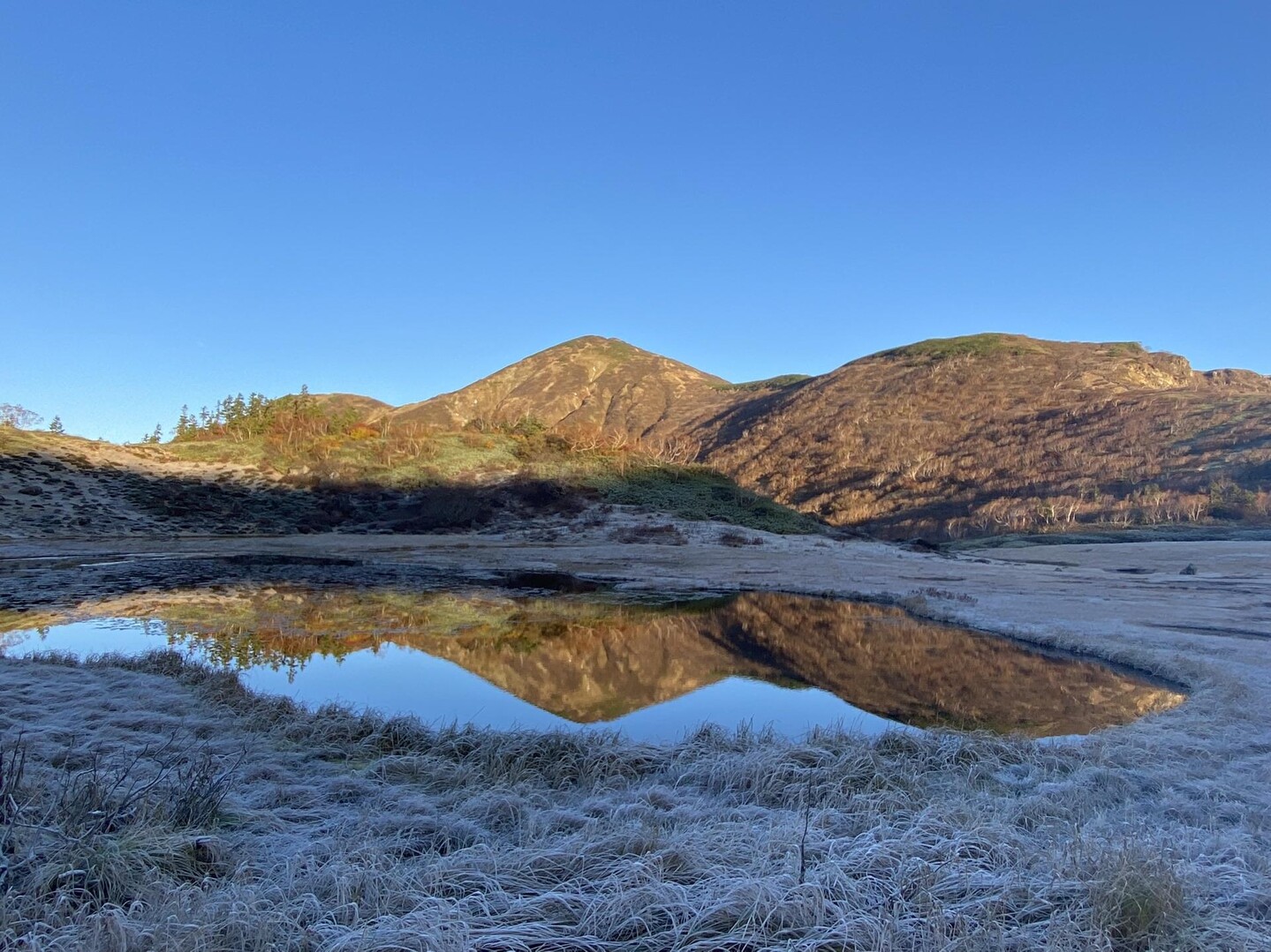 火打山・茶臼山 / kayoさんの妙高山・火打山の活動データ | YAMAP / ヤマップ